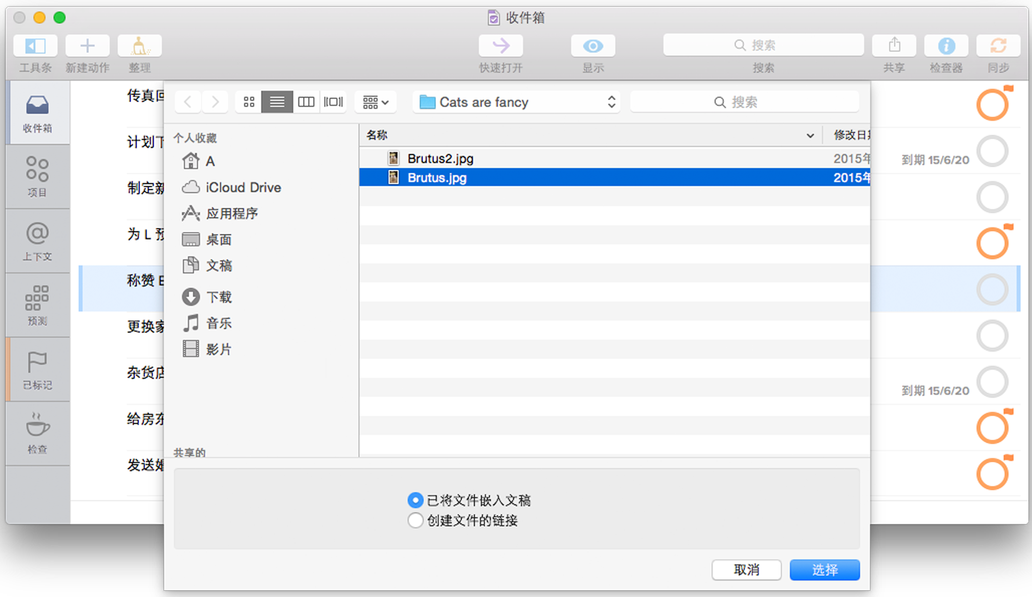 OmniFocus 2 for iOS 用户手册 — 使用附注和附件